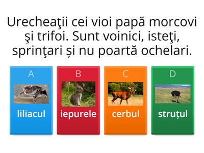Ghicitori - Resurse didactice