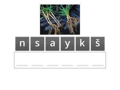 Augalo dalių - Mokymo ištekliai