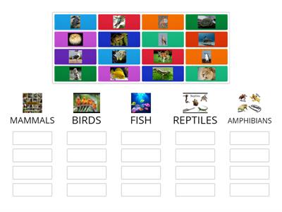Mammals reptiles amphibians fish birds - Recursos didácticos
