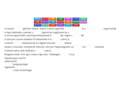Környezetismeret 3 osztály rovarok - Tananyagok