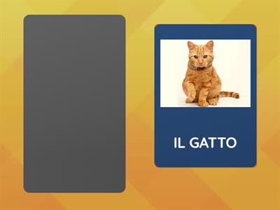 Animali Wordwall memory - Risorse didattiche