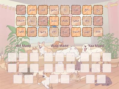 Letters of madd - Teaching resources