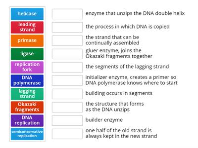 Dna replication - Teaching resources