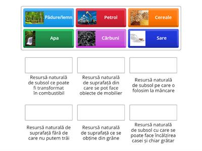 Resurse didactice - Resurse didactice