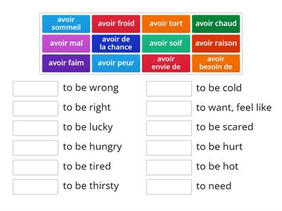 Idiomatic expressions with avoir - Teaching resources