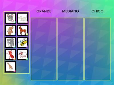 Grande chico - Recursos didácticos