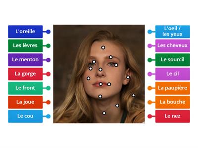 Les parties du visage - Ressources pédagogiques