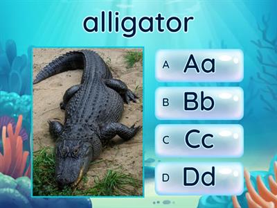 Abcd - Teaching resources