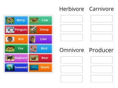 Herbivore carnivore omnivore - Teaching resources