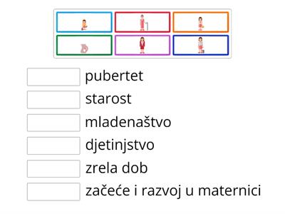 Priroda 6 razred životna razdoblja čovjeka - Nastavne aktivnosti