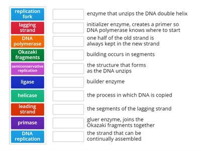 Dna replication - Teaching resources