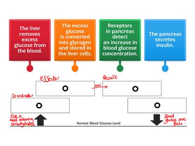 Controlling blood glucose - Teaching resources