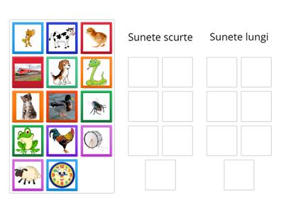 Sunete scurte si sunete lungi - Resurse didactice
