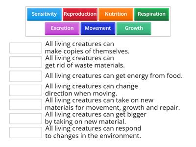 Mrs gren - Teaching resources