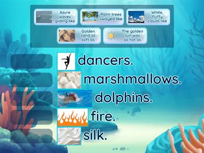 Beach - Teaching resources