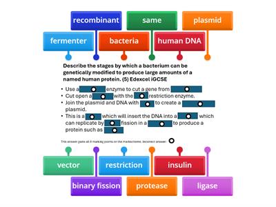 Genetic engineering - Teaching resources