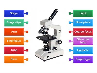 Microscope - Teaching resources
