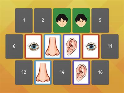 Body memory game - Teaching resources