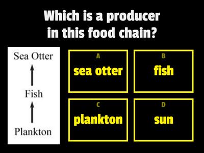 Food Chains - Teaching resources