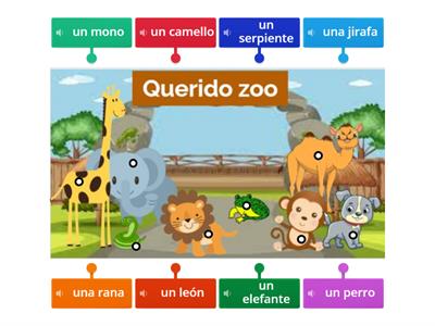 Querido zoo - Teaching resources