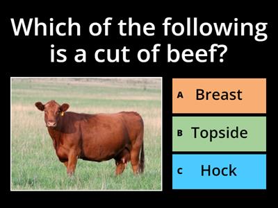 Meat - Teaching resources