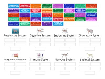 Organs organ systems - Teaching resources
