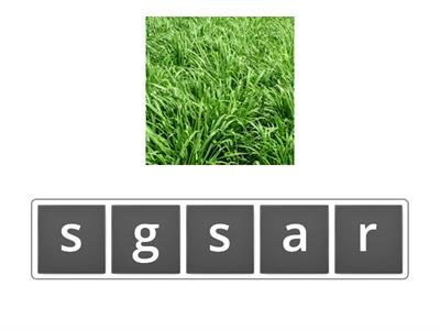 Double consonant short vowel - Teaching resources