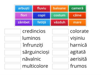 Clasa 4 Adjectivul - Resurse didactice