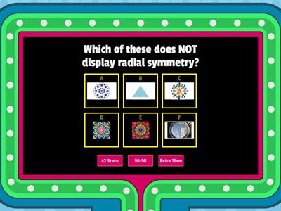 Symmetry - Teaching resources