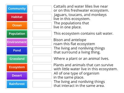 Ecosystem - Teaching resources