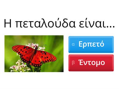 Πεταλουδα νηπιαγωγειο - Εκπαιδευτικές δραστηριότητες