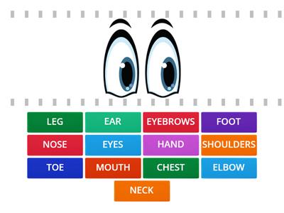 Parts of the body game - Teaching resources