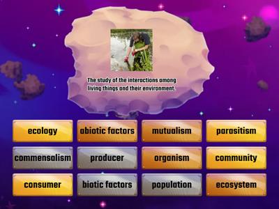 Ecology vocabulary quiz - Teaching resources