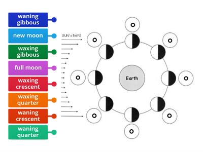 Moon phases diagram riley - Teaching resources