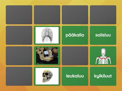 Ihmisen osat - Tehtävät