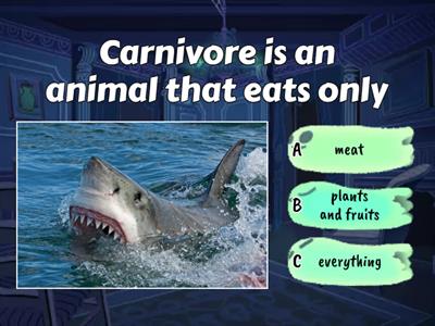 Animalele omnivore - Teaching resources