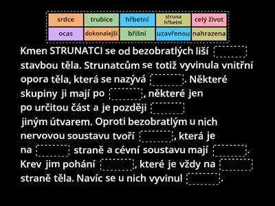 Strunatci - Výukové zdroje