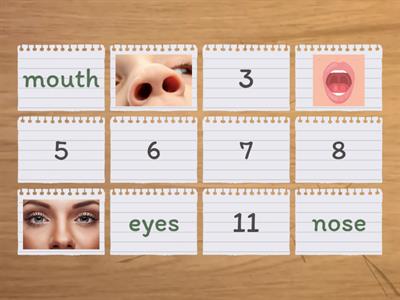 Face - Teaching resources