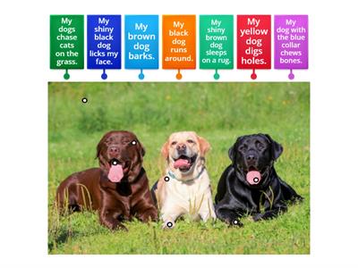 Dogs - Teaching resources