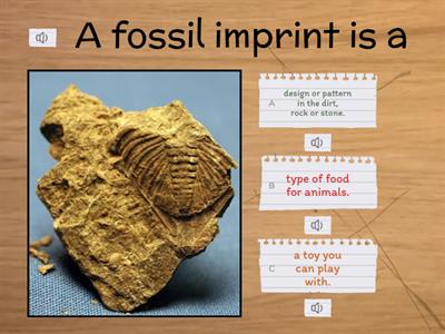 Fossils - Teaching resources