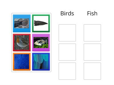 Fish - Teaching resources