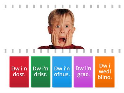 Pwy wyt ti - Teaching resources