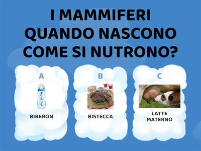 Mammiferi placentati - Risorse didattiche