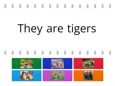 Ff starter unit 6 - Учебные ресурсы