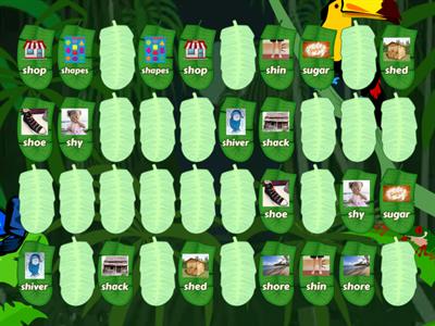 Sh words - Teaching resources