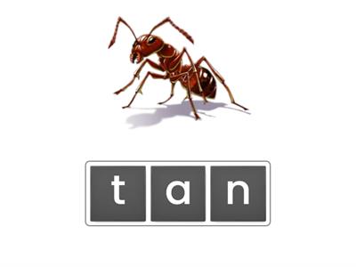 Istation spellling - Teaching resources