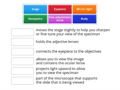 Microscope - Teaching resources