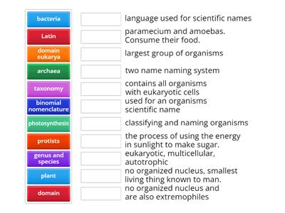 Classification and taxonomy - Teaching resources
