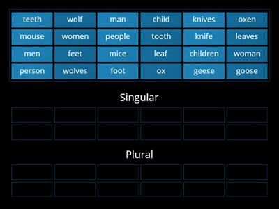 Wordwall irregular plurals - Teaching resources