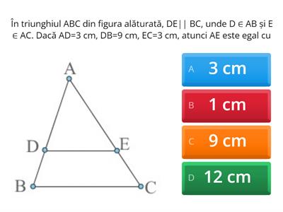 Teorema lui thales - Resurse didactice